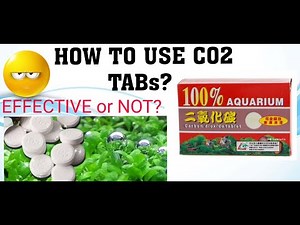 Adding CO2 Tablets in Planted Aquarium|How to use CO2 Tabs?|CO2 Tablets use Guide | #CO2 #CO2Tabs