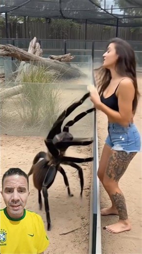 Giant Tarantula Attacks Woman and Wraps Her in Web! 🕷️🕸️😱 #jean360oficial