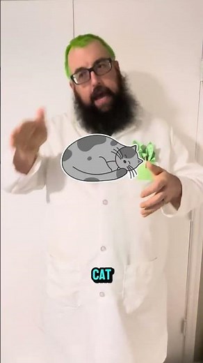 What Is AI? (Explained in 60 Seconds) | The Wig & The Whiz