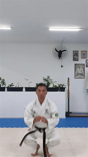 2.4K views · 12K reactions | Advanced Plyometric Shiko Dachi ...