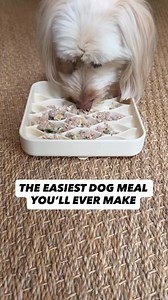 The easiest dog meal you’ll ever make! 🐟 Comment “FISH” and we’ll send you weekly balanced recipes for your pup. Fish is a great source of protein and omegas, but because of mercury and to keep nutrients balanced, it’s best served in moderation—about 15% of your dog’s meals should be fish-based 🦴 ✨ To make this recipe you’ll need: - 2 Cups Tuna in Water, No Salt - 2 Large Eggs, Cooked- ¾ Cup Sardines in Water, No Salt - ½ Cup Cucumber - ½ Cup Celery - 3 TBSP Plain Yogurt - 2 TSP Dog Child Esse