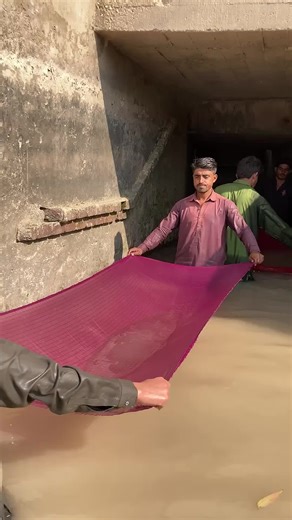 #for #foryou #foryoupage #viral #fish | fish videos