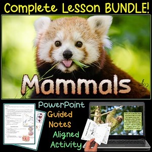 Class Mammalia (Mammals) Complete Lesson Bundle