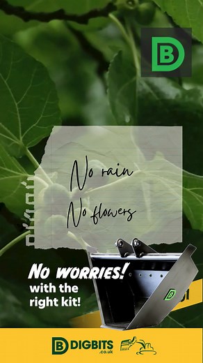 DIGBITS on Reels | Facebook