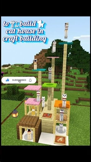 🤯easy to🏗️build🐈cat🏡house