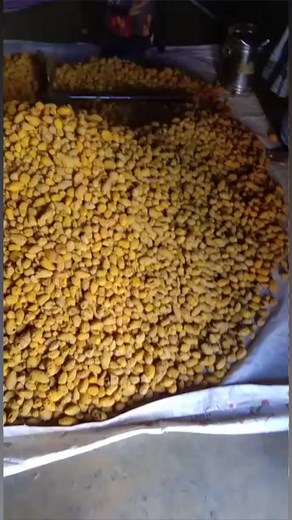 4.1K views · 22 reactions | Turmeric powder machine Impact Pulvriser Machine, Haldi powder machine, Besan ☎️+91 88716 86000 | Punjab Engineering Corporation | Facebook