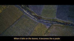 1.4K views · 19 reactions | Following the volcano eruption earlier this week, rock, ash and black smoke has rained down on Guatemala. But what is it like to live under the shadow of a volcano and what are some of the warning signs that a volcano is about to erupt? | ShelterBox | Facebook