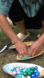 Pearls and Shells in Harmony #pearl #foryou #fyp #pearls #asmrsounds #satisfying #satisfyingvideo #asmrvideo | Pearlbeauty99