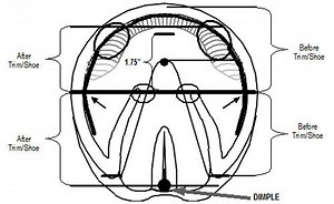Basic Principles of Natural Balance