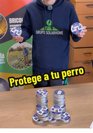 Protege a tu perro con estos consejos efectivas