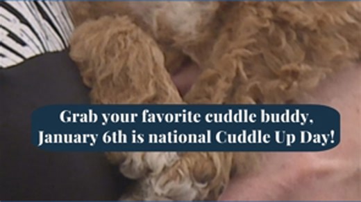 Grab your favorite cuddle buddy, it's national Cuddle Up Day!