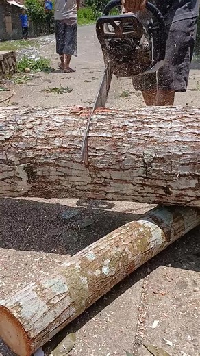 Mastering Wood Cutting Skills with Chainsaws