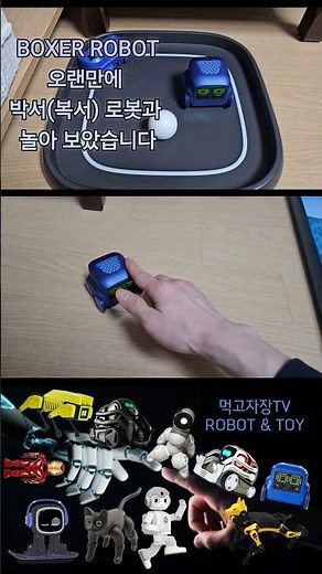 [Shorts] [박서 봇] BOXER ROBOT 오랜만에 박서 로봇과 놀아 보았습니다 boxer bot 짧은영상
