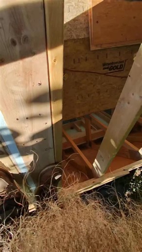 No Tajimas were injured in the making of this video. Fun how with all that surface area the chalk line hook can find a H clip and get caught lol. First row of the 24/12 too so I’d have to go down to the ground to get it if it wouldn’t release lol. Usually I’m an ass and just pull but a clip wil cut that line off pretty easy and I didn’t wanna play find the hook. #framer #framing #framersareadyingbreed #gambrelroof #wood #shop | Canadian Carpenter