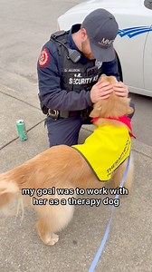 Come with us on our first therapy dog visit 🫶🏼 From the moment we walked in Pearl lightened the energy in the room. Staff coming up saying they needed her today, students asking to pet her in the hall between classes and smiling and laughing. There is so much power in animal assisted therapy visits and I'm so glad to share pearl this way.We left feeling like this was where we were meant to be. #therapydog #dogs #goldenretriever | pearl.the.golden.girl