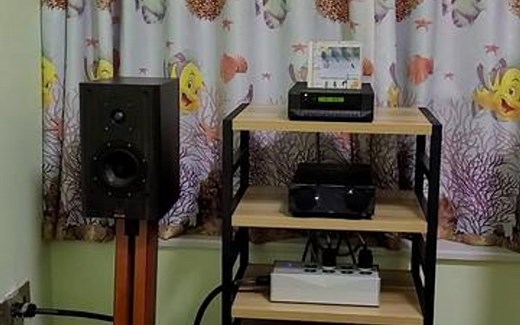 燃烧卧室HiFⅰ音响，正式落地，8平方。初步配置英国赛乐士Cyrus cdi +One 功放+美之声云雀音箱，2万元內。