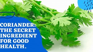 6.6K views · 241 reactions | "Coriander: The secret ingredient for good health #Coriander #HealthBenefits #Herbs" | All about health and nutrition | Facebook