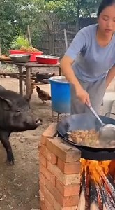 Best funny cooking comedy 2025. | Village Life