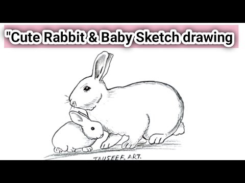 “Cute Rabbit & Baby Sketch Drawing 🐇 | Amazing Pencil Art Tutorial”