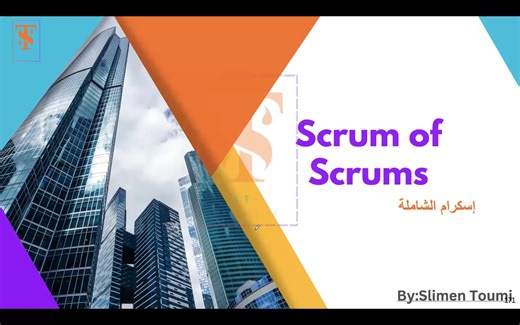 13-Scrum of Scrum