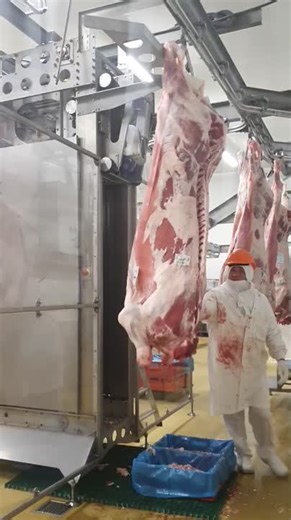 #jarvis #jerher #foodprocessing #veau #veal #innovation | Jarvis FRANCE