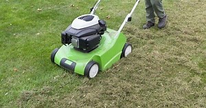 Power raking vs dethatching: difference, pros, cons - InsightWeeds