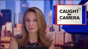 Video shows groundskeepers rescue owl after bird got tangled in sports netting at high school