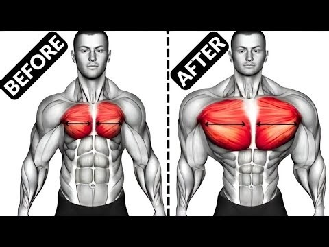 Top 10 Exercises to Increase Your Pushups FAST!
