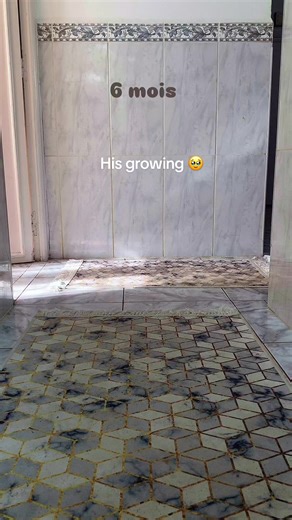 Understanding Baby Growth Patterns and Milestones