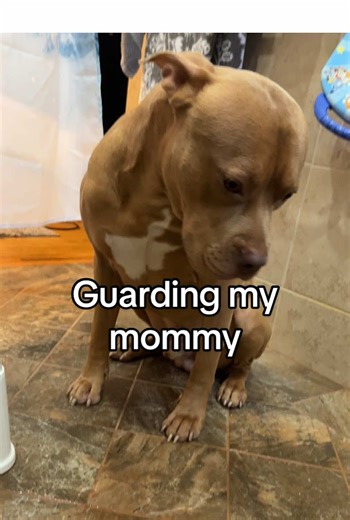 Hemi Guarding Mommy in the Shower