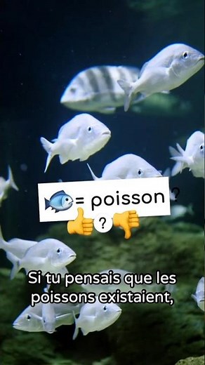 Fish DO NOT EXIST! #science #misconceptions #unusual #funfacts #truecrazy