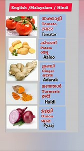 English words / Hindi words #vocabulary #gk | Sakeer Husaine C T