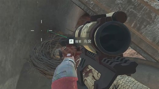 这个被所有人忽视的鸟窝，却成了只对我慷慨的宝库，无论曾经，如今，未来。