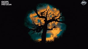 2K views · 28 reactions | Check out this demonstration of the color...