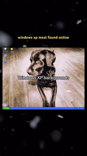 which windows xp background do you remember most #nostalgia #poll #windowsxp