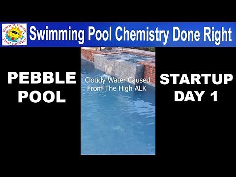 Pebble Pool Startup Day 1