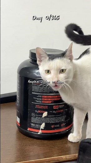 Day 0/365 – Starting My Filmmaking Journey From Zero 🎬