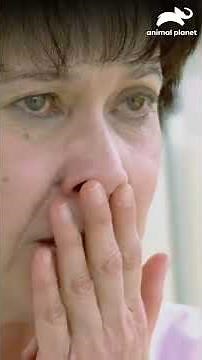 El gato que lucha por su espacio