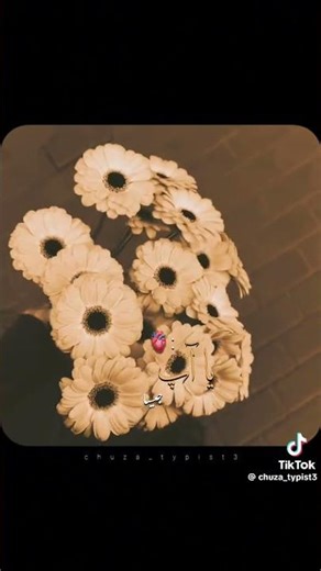 #♥️♥️♥️#