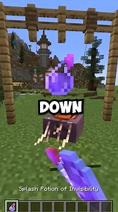 Swings in Vanilla Minecraft | Skip the Tutorial