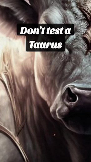 Understanding the Taurus Zodiac Sign: Traits, Characteristics, and Relationships