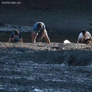 73K views · 267 reactions | Some guidelines to follow when visiting...