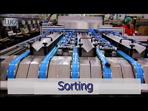 Dates Sorting Machine
