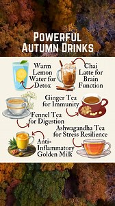 18K views · 238 reactions | What are some of your favorite drinks this autumn? . . . #autumn #fallvibes #autumnvibes #fall #pumpkin #chailatte #detoxification #gingertea #immunityboost #fenneltea #ashwagandhabenefits #ashwagandha #turmeric #fennel #fenneltea #digestionsupport #digestiveproblems #ginger | The Lost Book of Herbal Remedies | Facebook