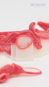 2.9K views · 28 reactions | ✨Partner with Rio and CAD designer Sara...