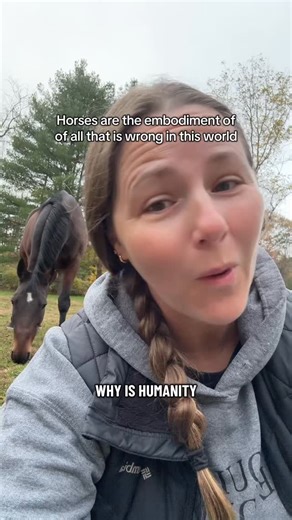 2K views · 27 reactions | Domination sold as partnership, beauty commodified, survival conditioned on submission — can you relate to any of that? #peacelovehorses | Equi Evolution | Facebook