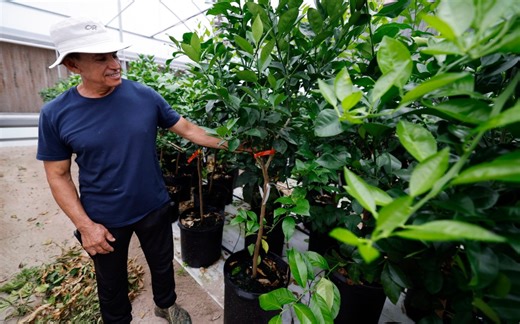 Florida farmers struggle as legal foreign workers worry about immigration crackdown