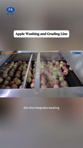 Apple Washing and Grading Line | Smooth Operation