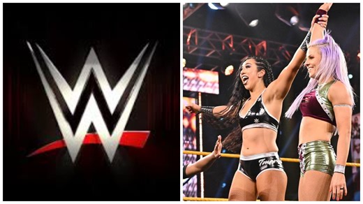 Former champion advances to a multi-woman ladder match at major WWE show