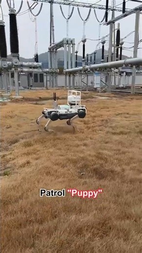 High-voltage⚡: Patrol "Puppy"🤖#shorts